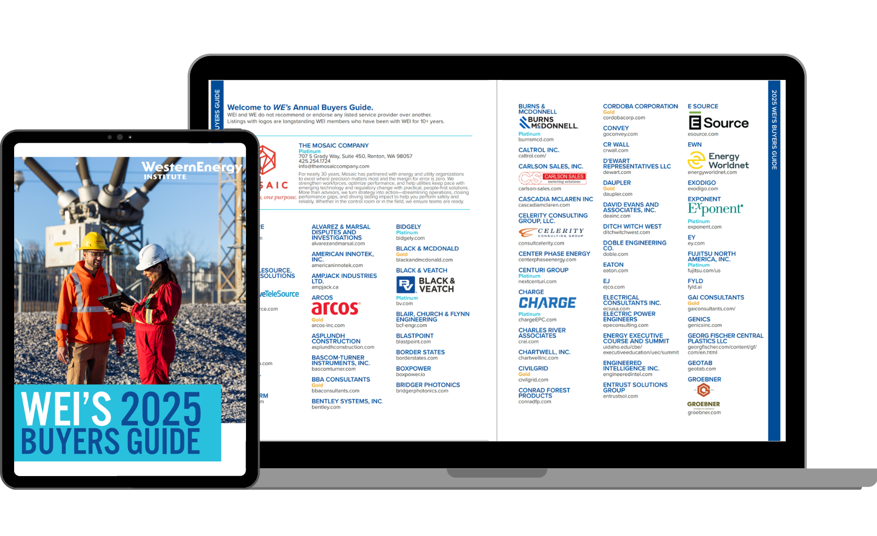 BUYERS GUIDE PACKAGES